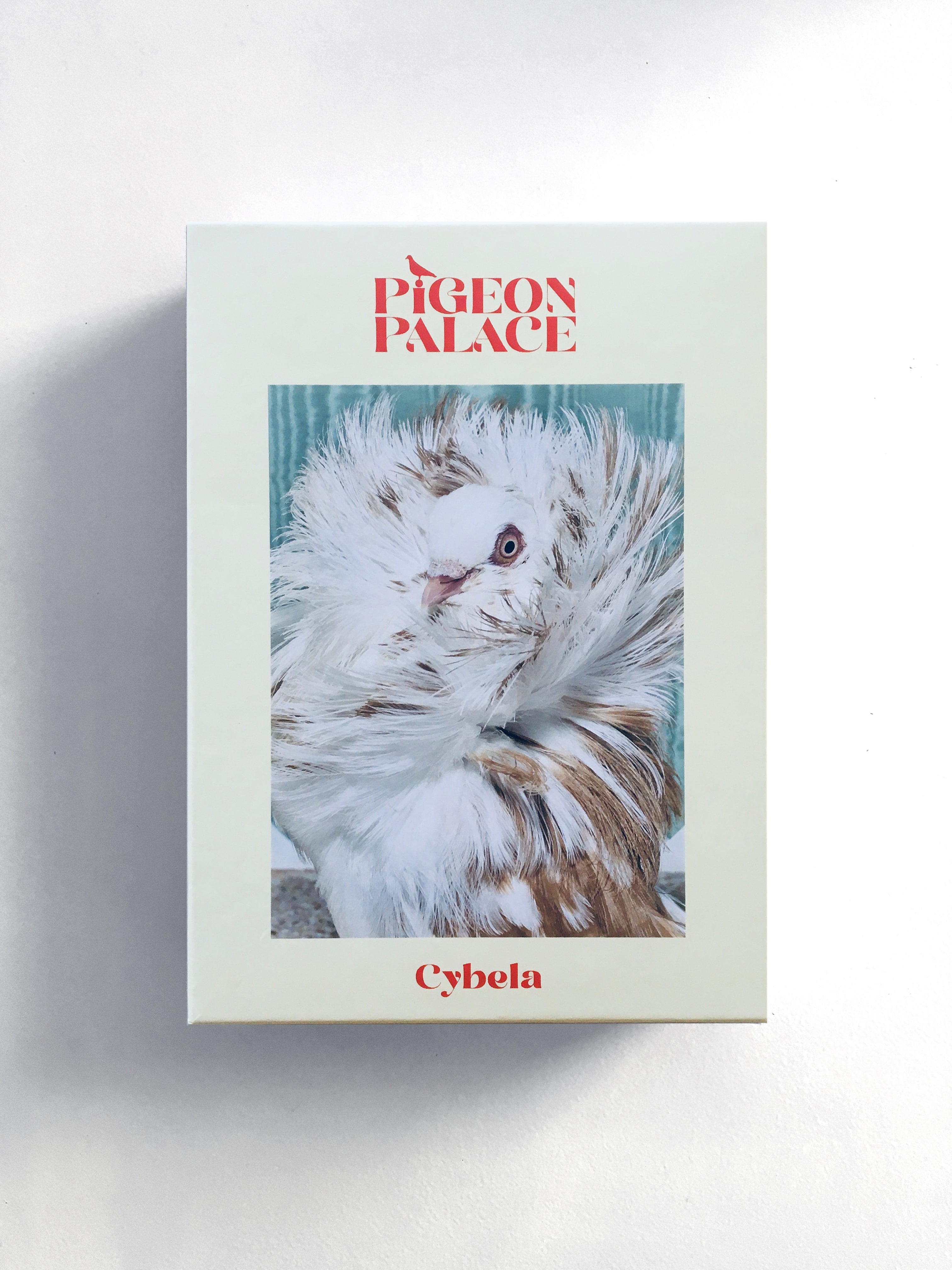 Pigeon Palace: Art Prints of Show Pigeons